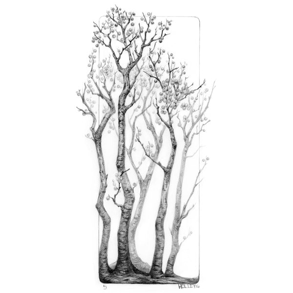 Gathering - Graphite Drawing – BoxWood Board Designs