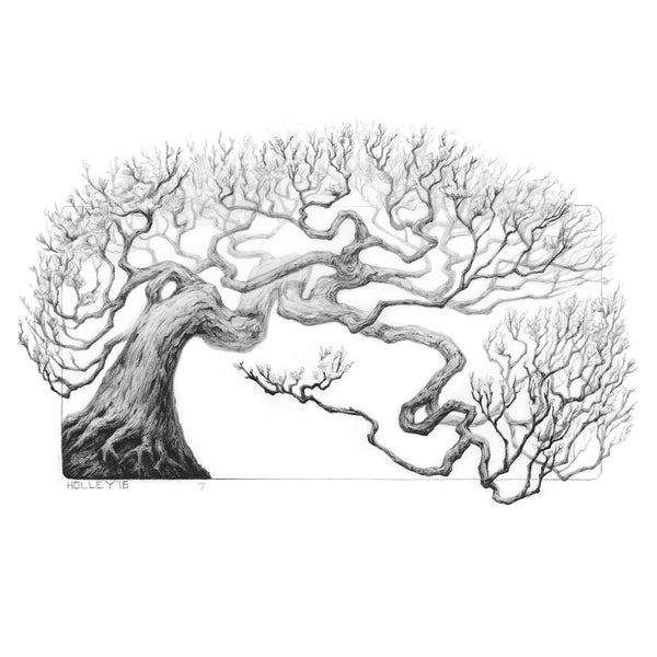Reaching - Graphite Drawing – BoxWood Board Designs