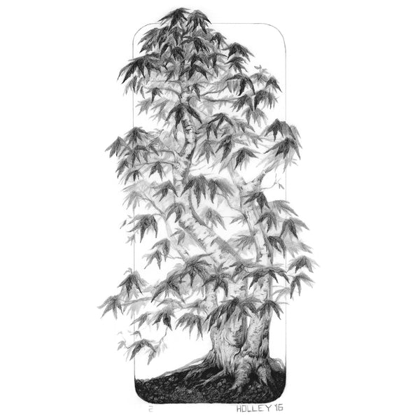Japanese Maple - Graphite Drawing – BoxWood Board Designs